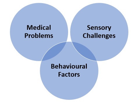 5 Important Facts About Fecal Smearing That You Need To Know